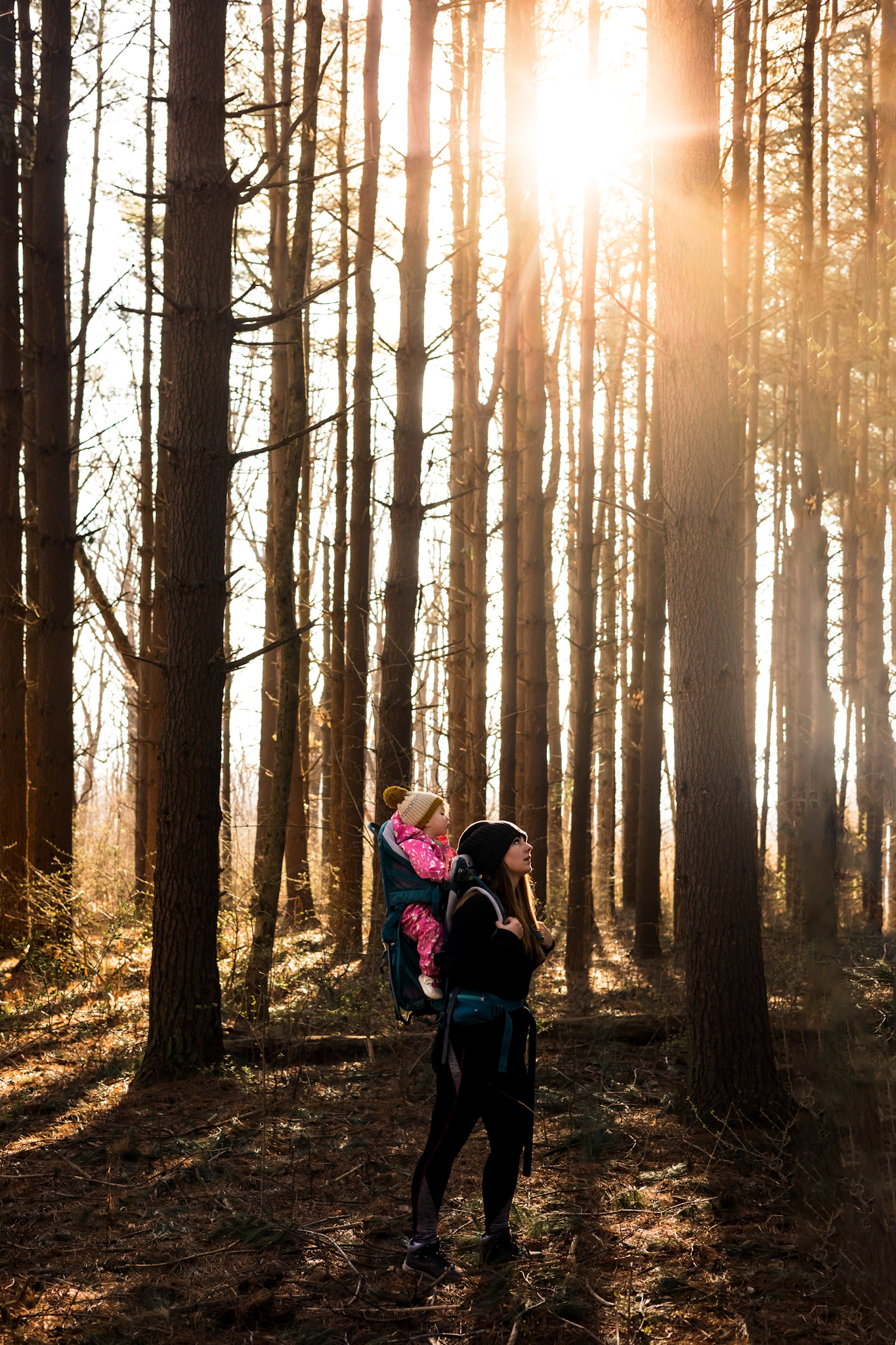 Hidden Springs State Forest: A Central Illinois Scenic Adventure ...
